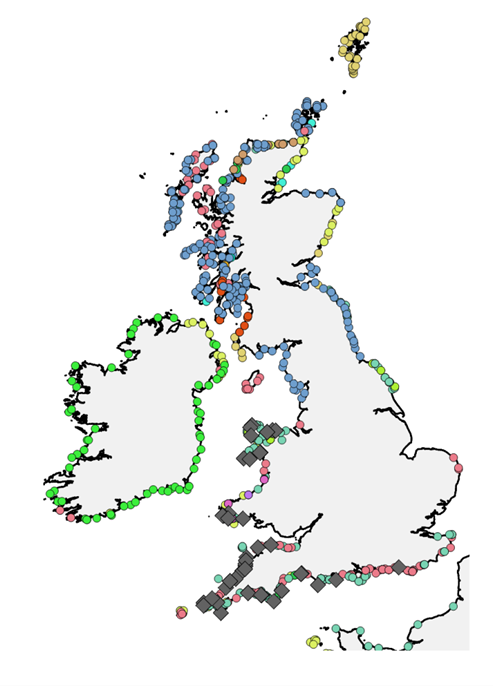 Intertidal community index