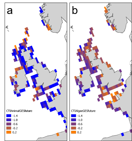 Intertidal community index