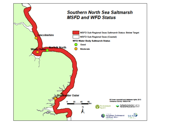 Intertidal saltmarsh