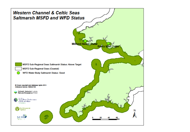 Intertidal saltmarsh
