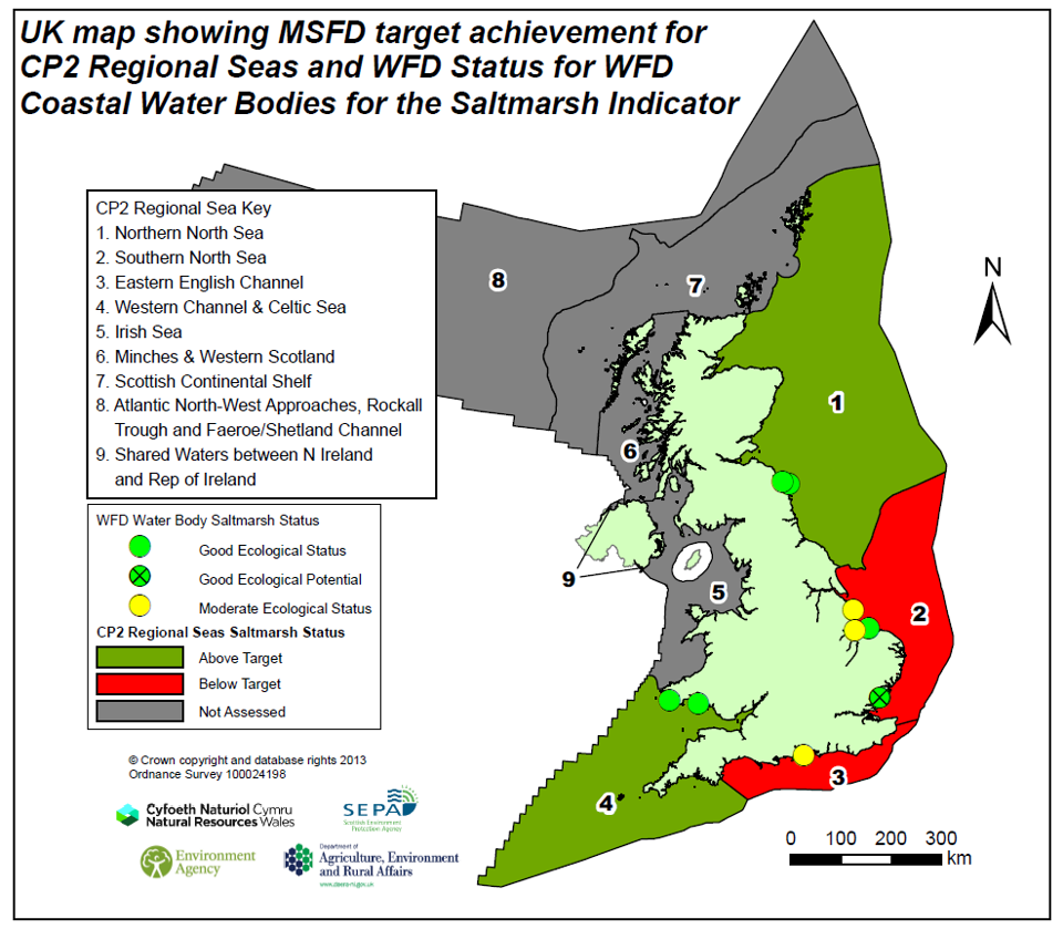 Intertidal saltmarsh
